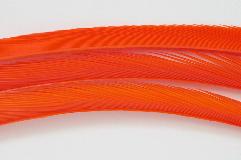 Premium Selected Goose Biots | Fulling Mill Fly Tying