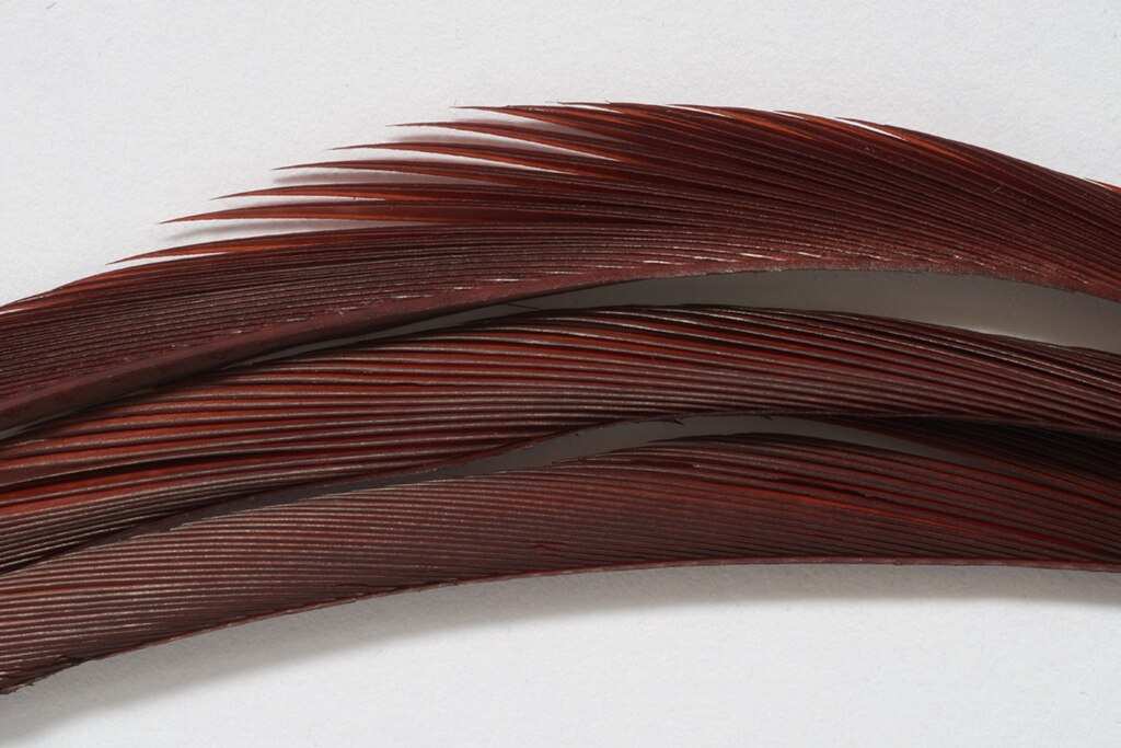 Premium Selected Goose Biots | Fulling Mill Fly Tying