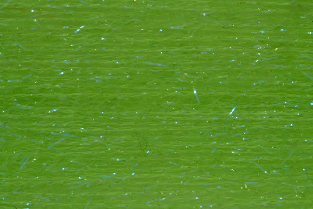 Streamer Straggle Micro UV | Fulling Mill Fly Tying